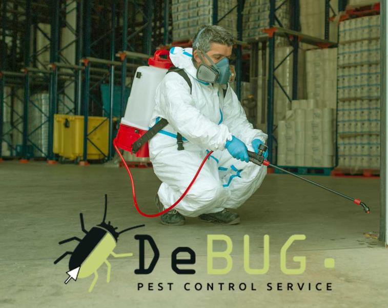 In Sioux Falls SD - Debug Pest Control Service
